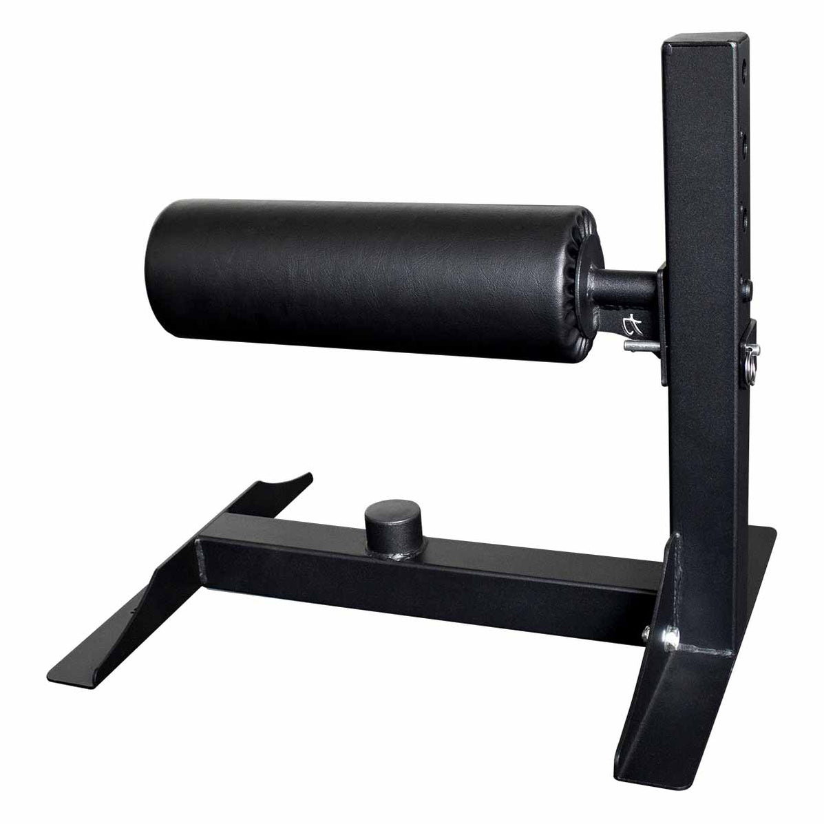 Single Leg Squat Stand — Strength Shop