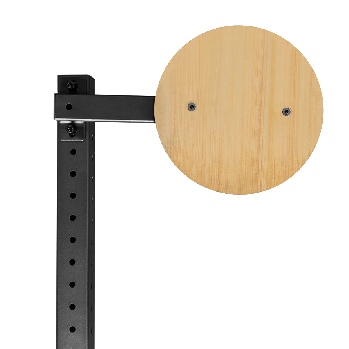 Riot Rig - Wall Ball Target — Strength Shop